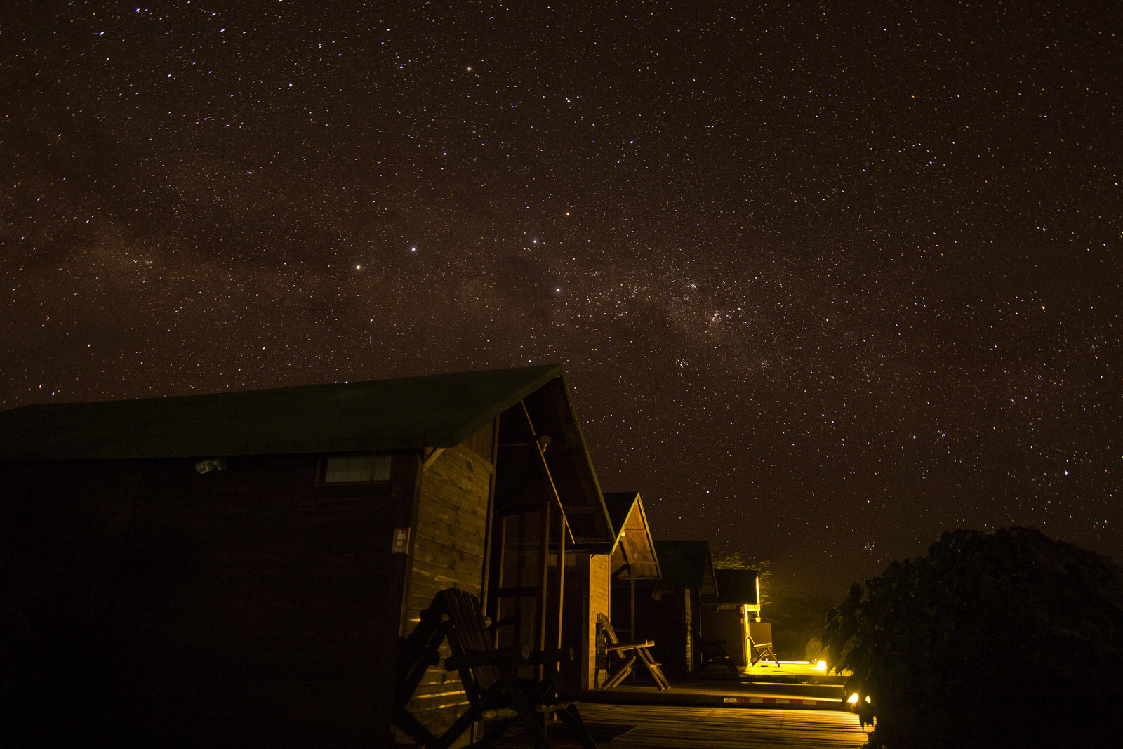 Galápagos Roots: a Community and Nature Expedition