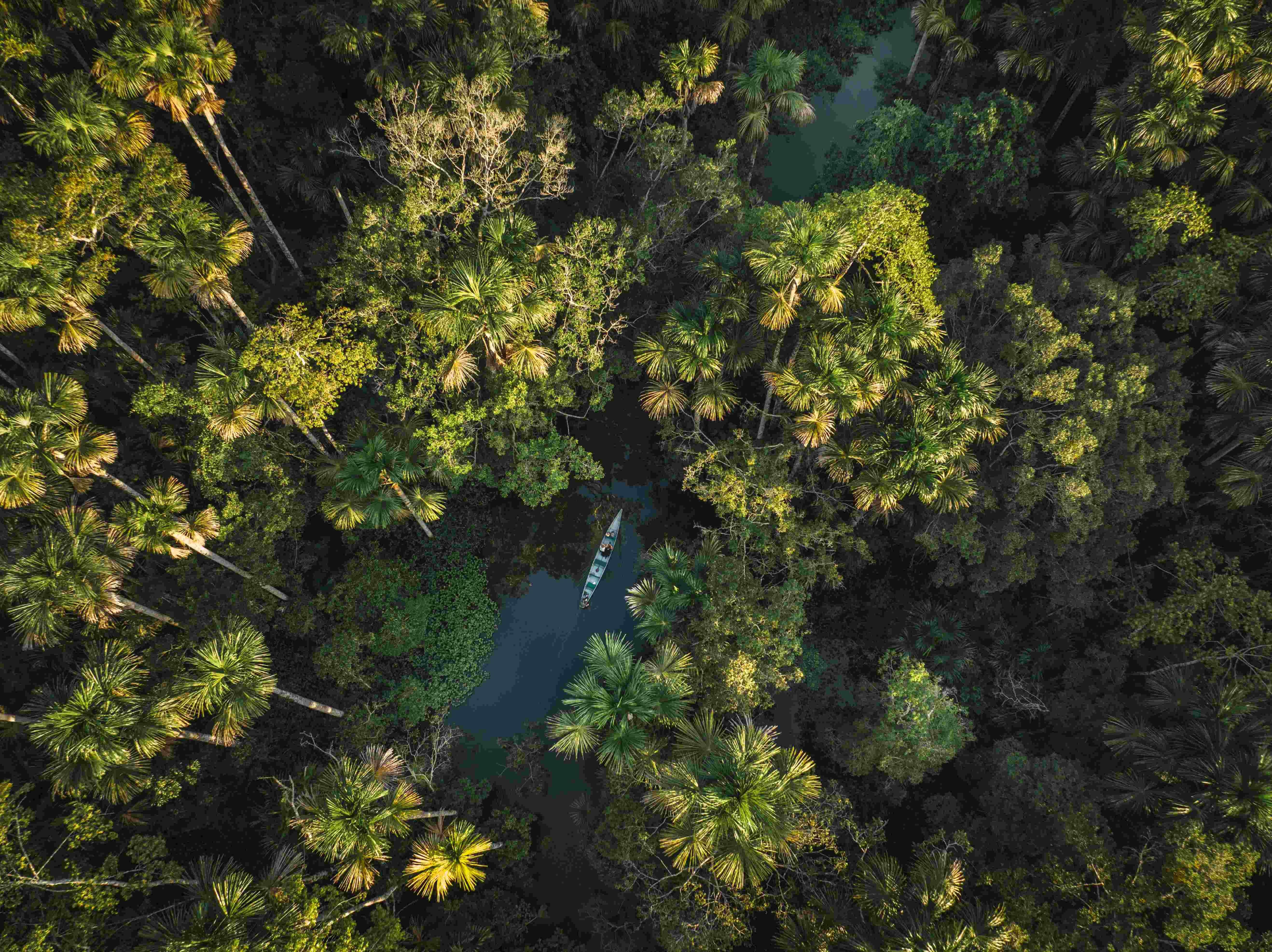Visiting the Amazon