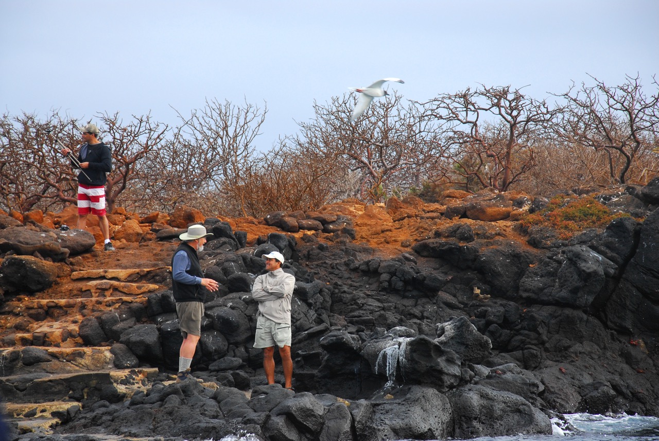 Luxury Galápagos Cruises | Explore the Islands in Style
