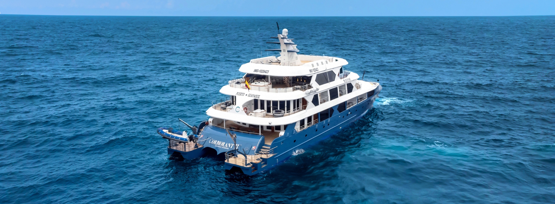 Cormorant II Catamaran